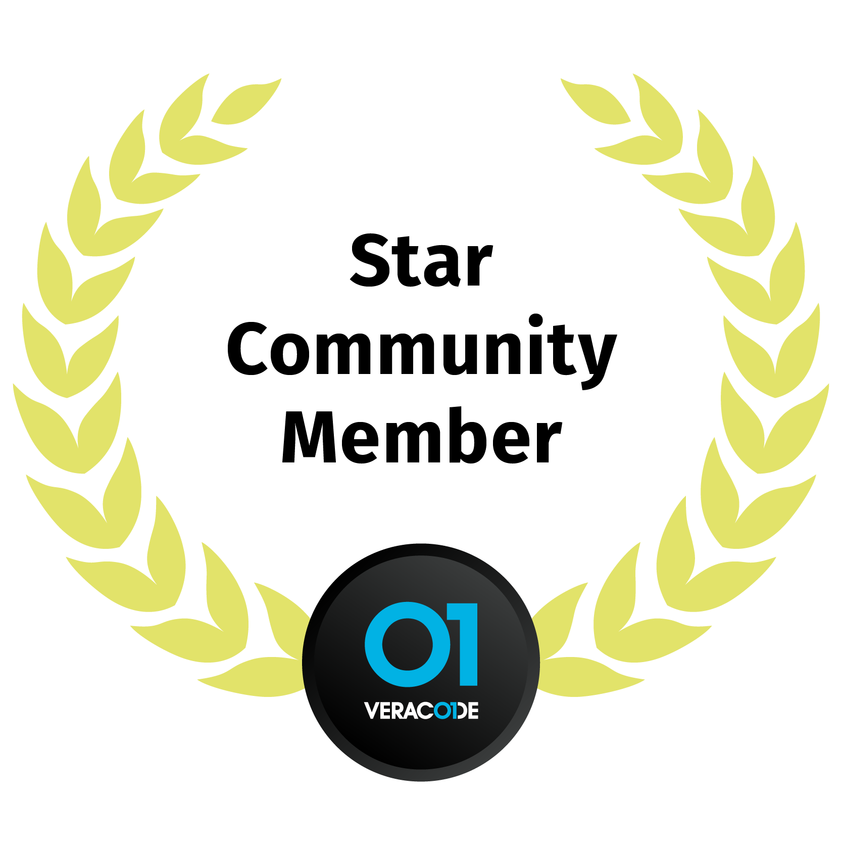 Veracode Village Awards Veracode Community